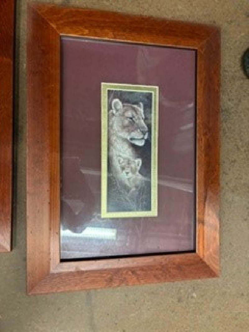iBidOnStorage.com.au - Box and Lock Self Storage Auction - 17085709892235